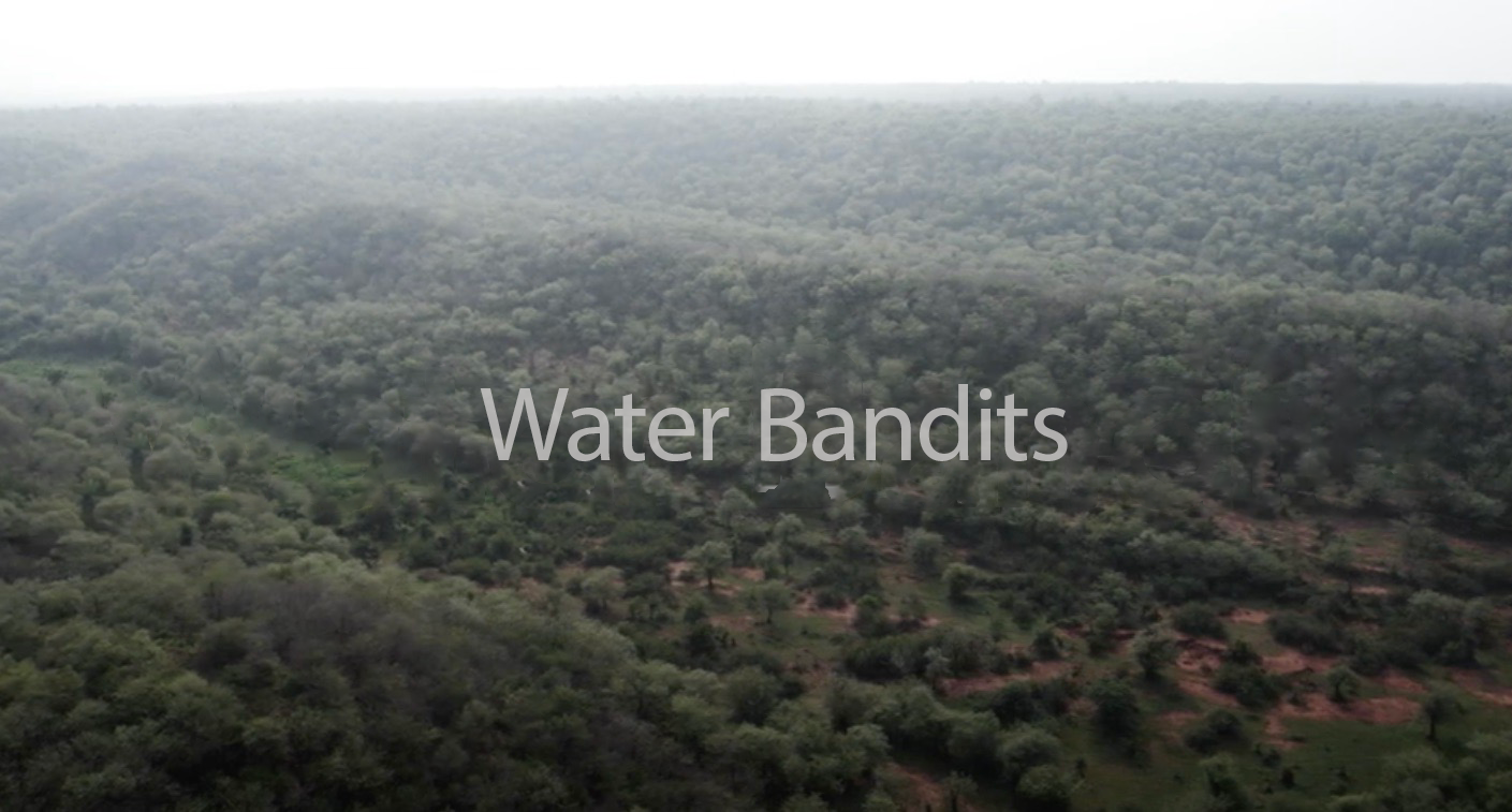 Water Bandits - Icarus Complex