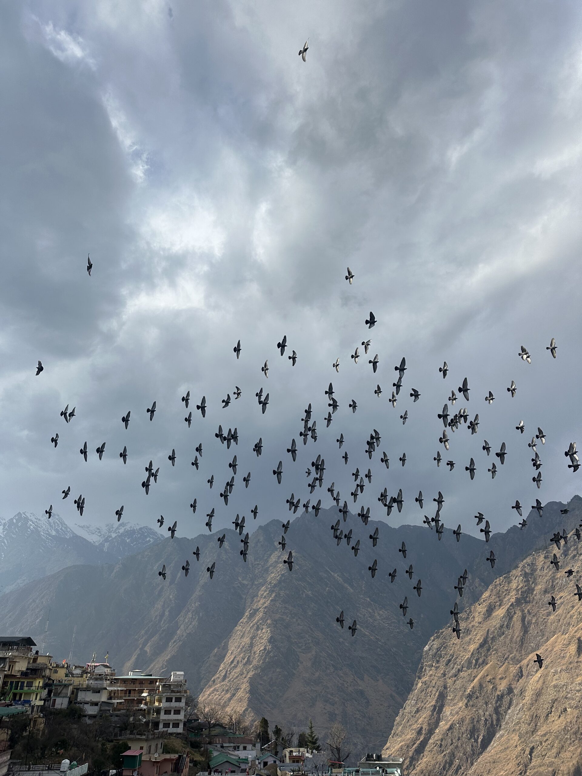 Homepage - Icarus Complex